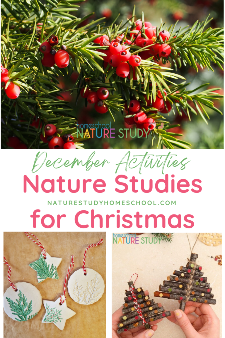 Posts - Homeschool Nature Study