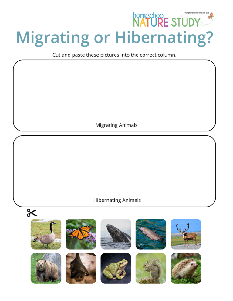Hibernation: A Winter Nature Study - Homeschool Nature Study