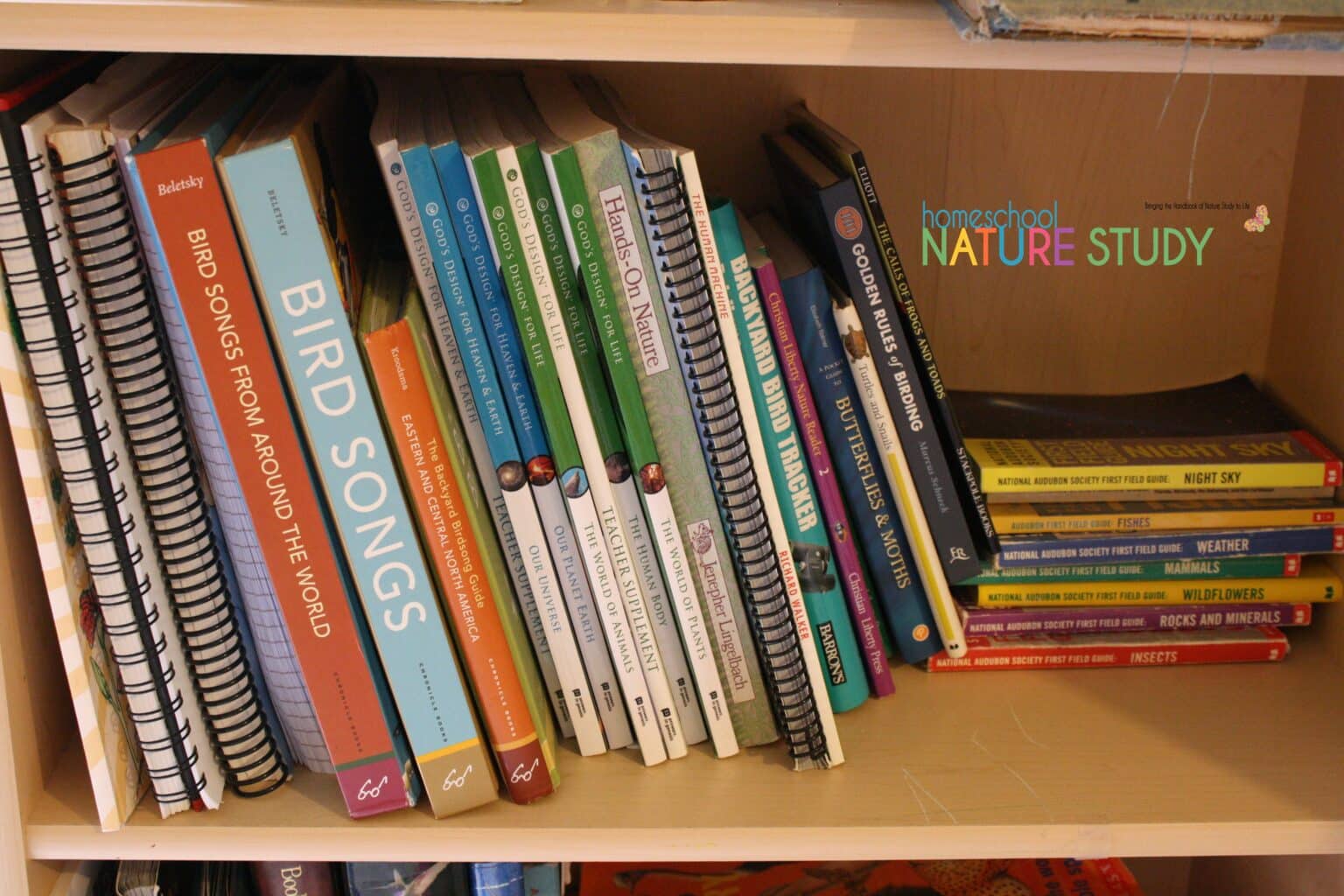 How to Use a Book Basket with Nature Study - Homeschool Nature Study