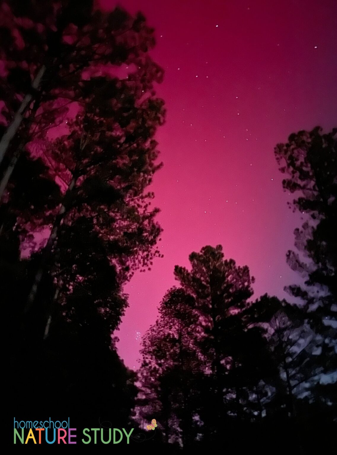 Northern Lights Nature Study Activities - Homeschool Nature Study