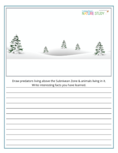 A Fascinating Winter Subnivean Zone Nature Study - Homeschool Nature Study