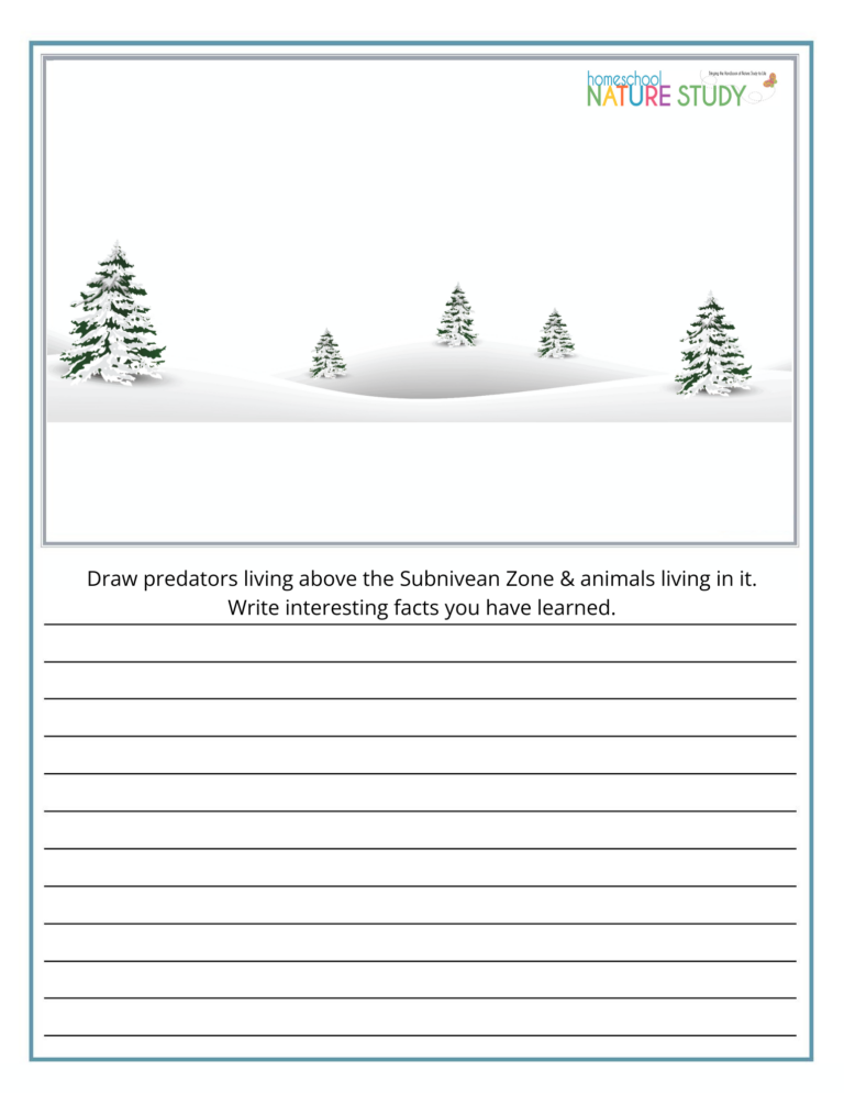 A Fascinating Winter Subnivean Zone Nature Study - Homeschool Nature Study