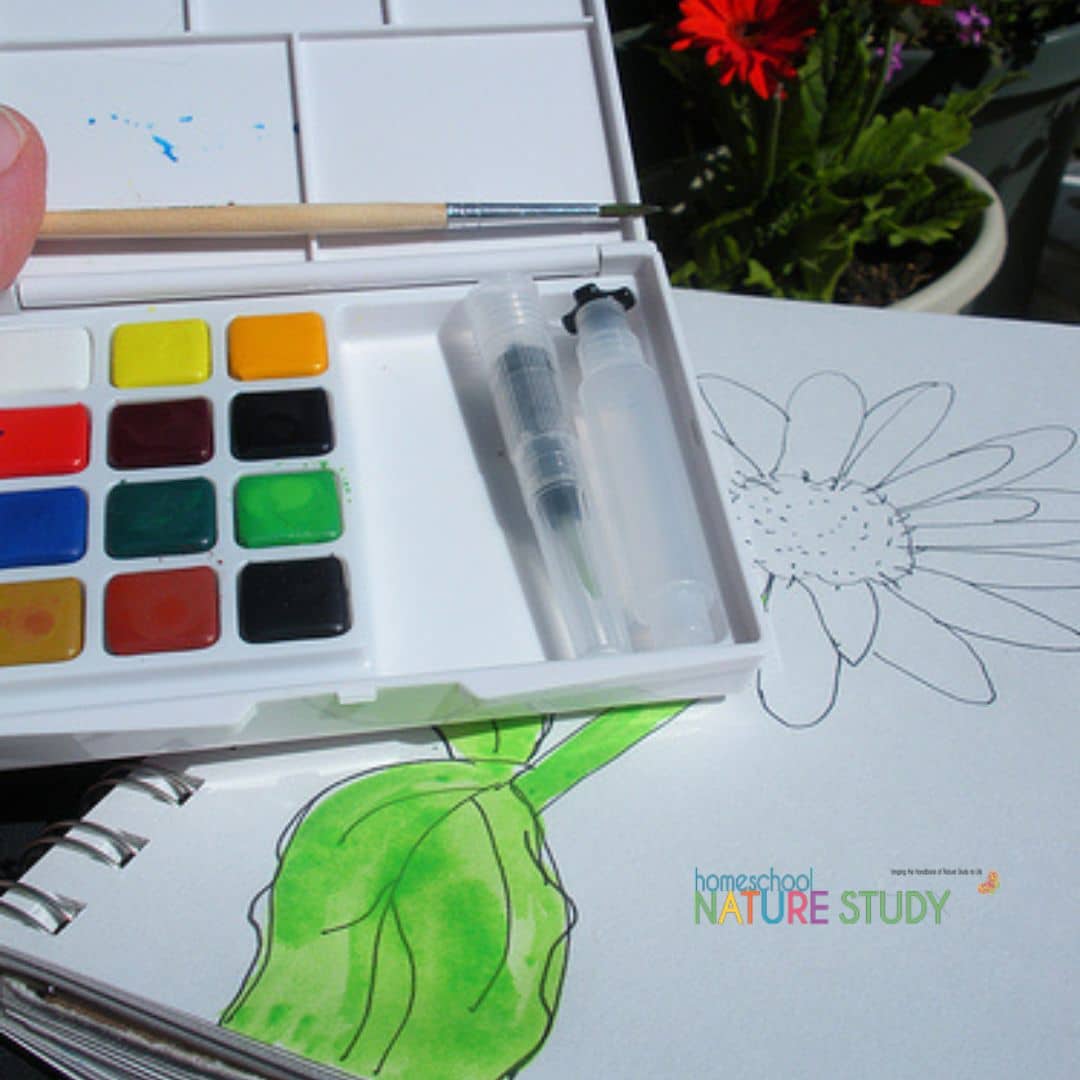 Watercolors For Outdoor Nature Journaling: On the Go Tips - Homeschool ...
