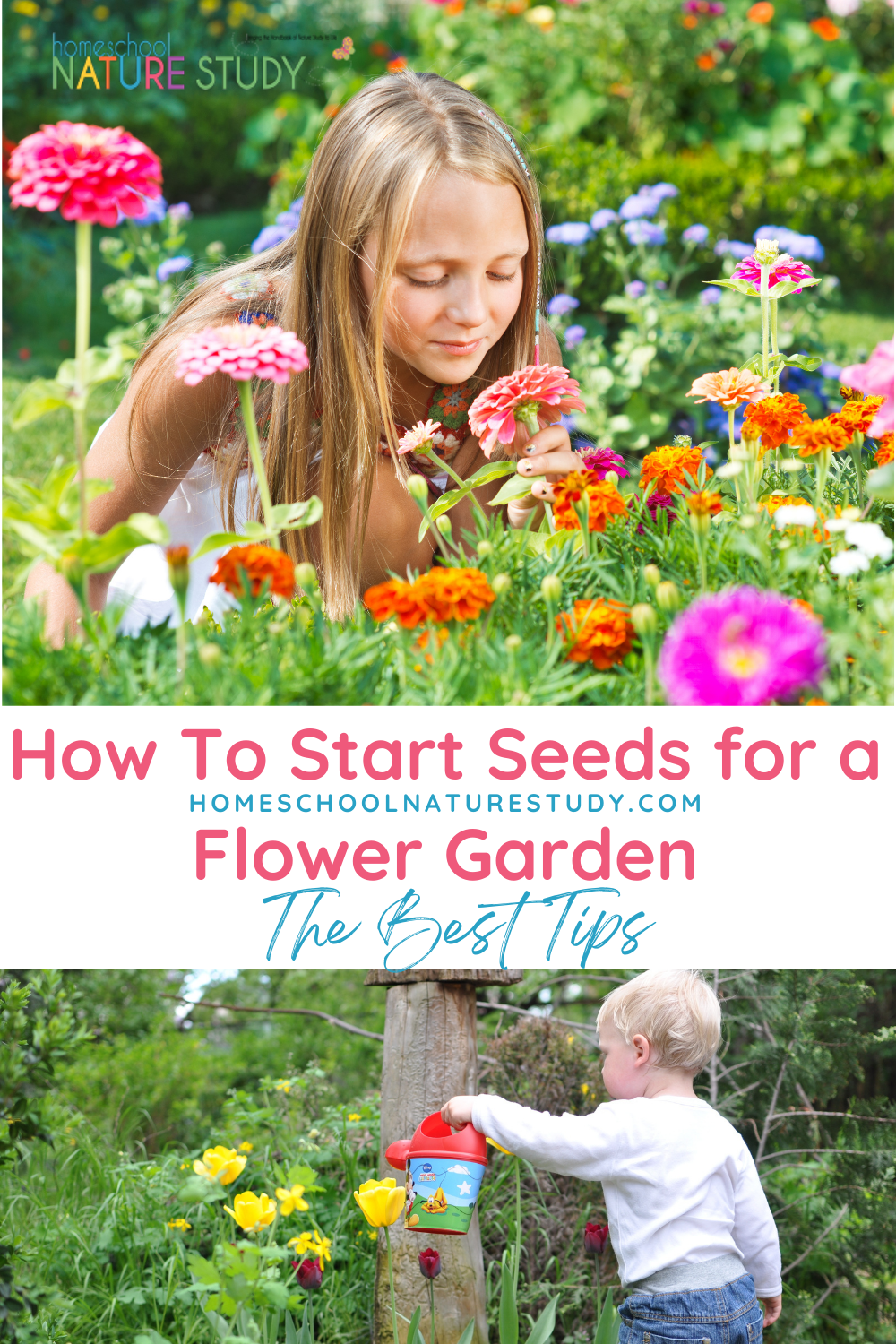 The Best Tips for Starting Seeds for a Flower Garden - Homeschool ...