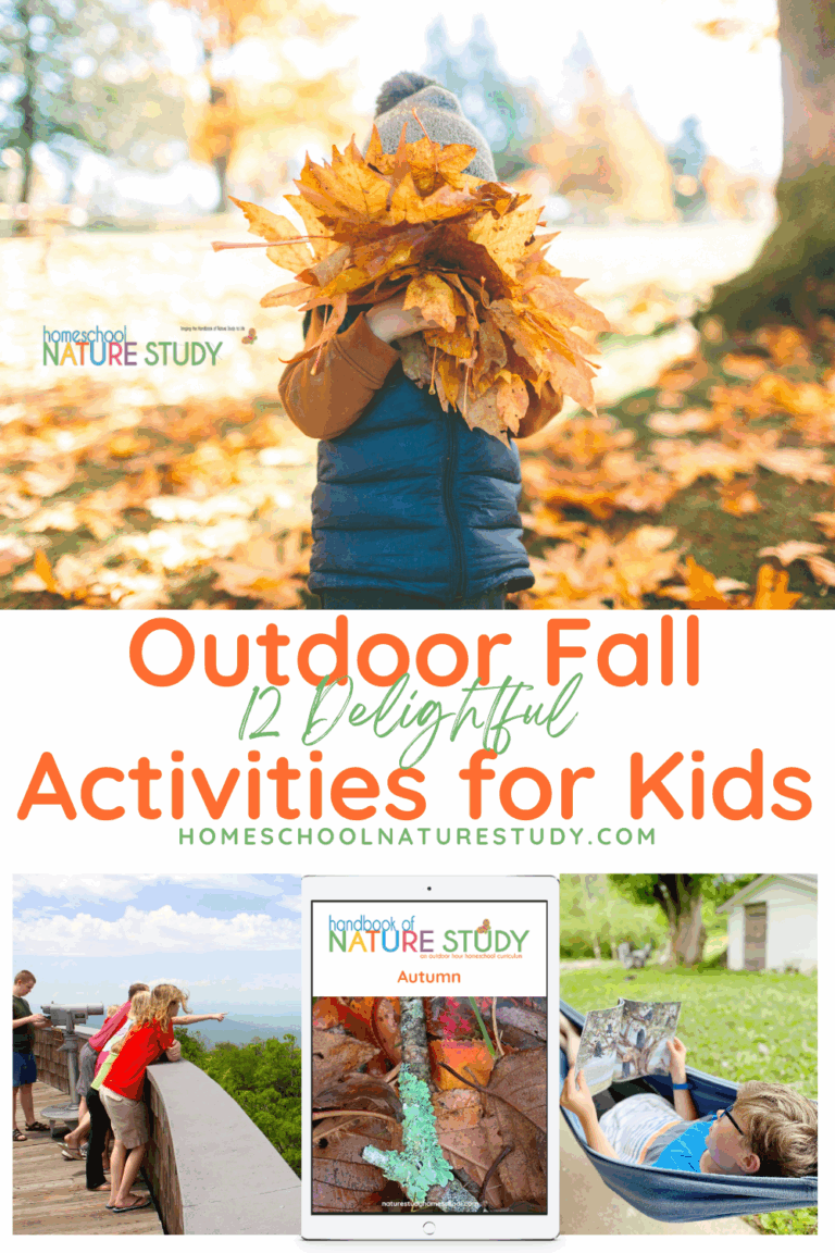 12 Delightful Outdoor Fall Activities for Kids - Homeschool Nature Study