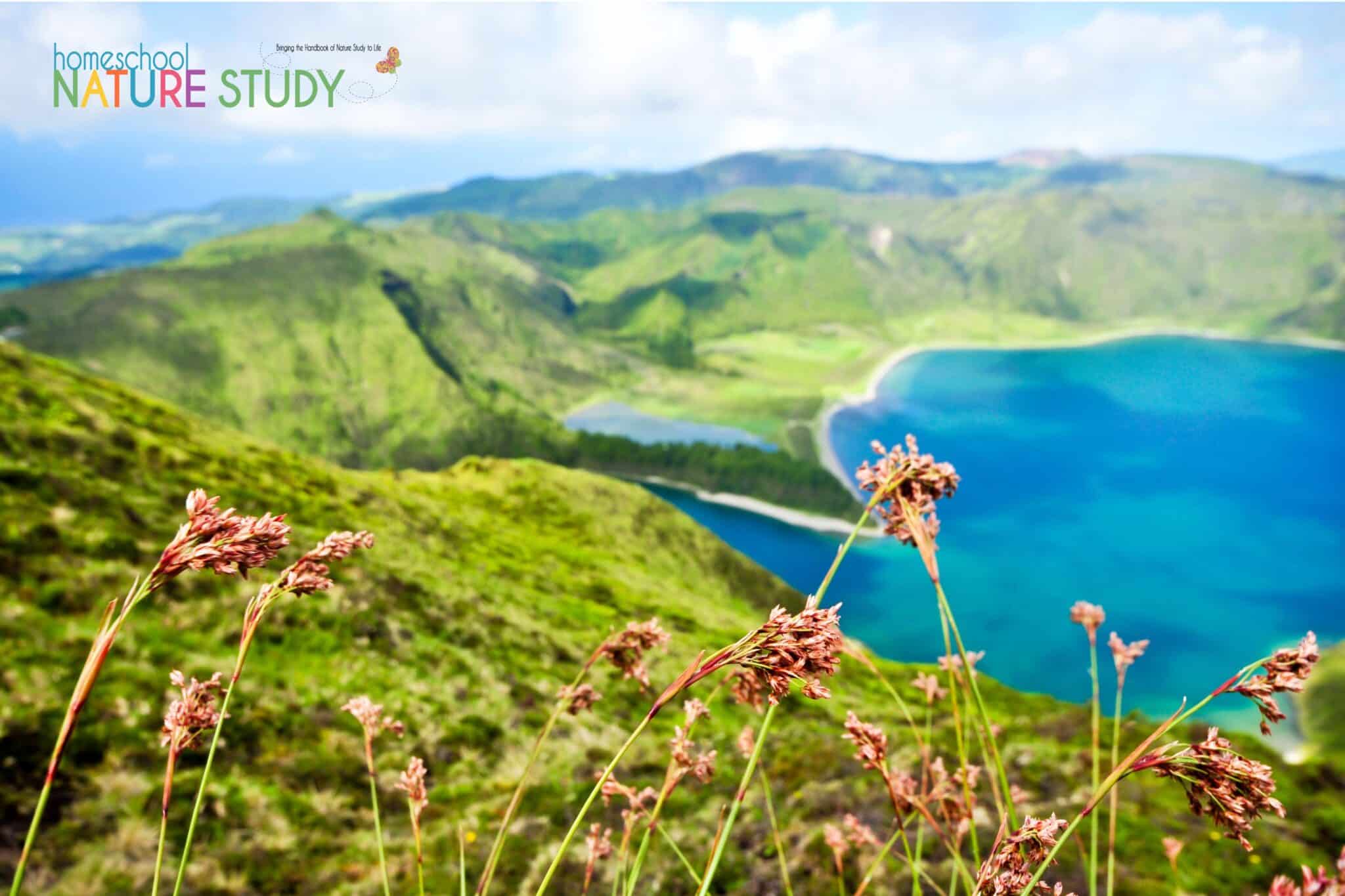 Biomes and Habitats Activity For Your Homeschool - Homeschool Nature Study