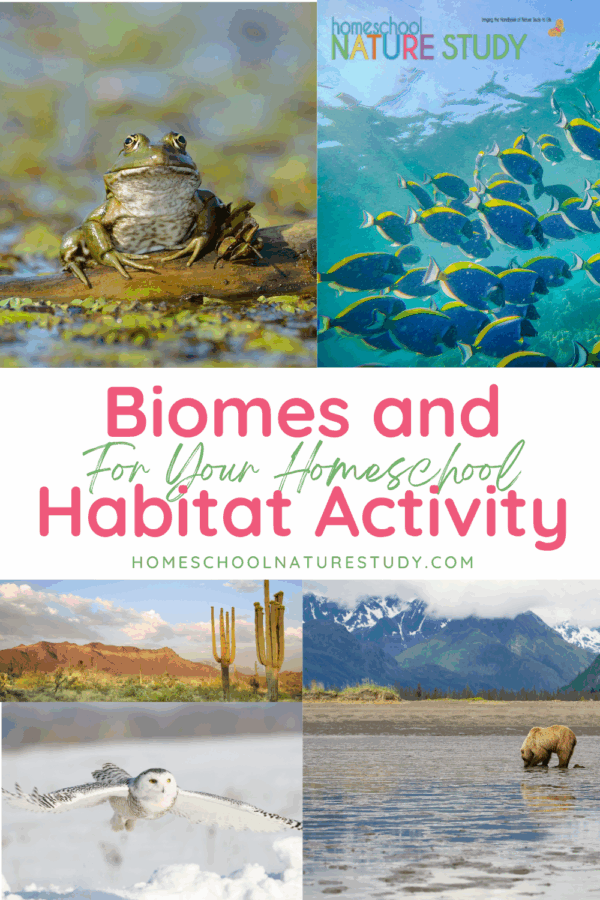 Biomes and Habitats Activity For Your Homeschool - Homeschool Nature Study