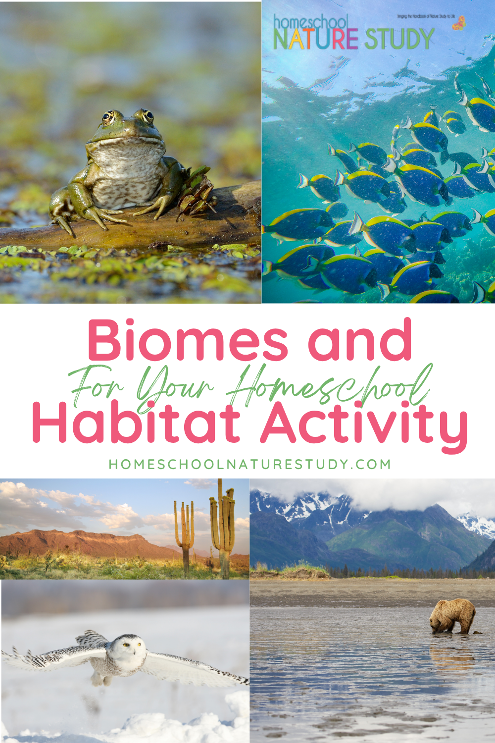 Biomes and Habitats Activity For Your Homeschool - Homeschool Nature Study