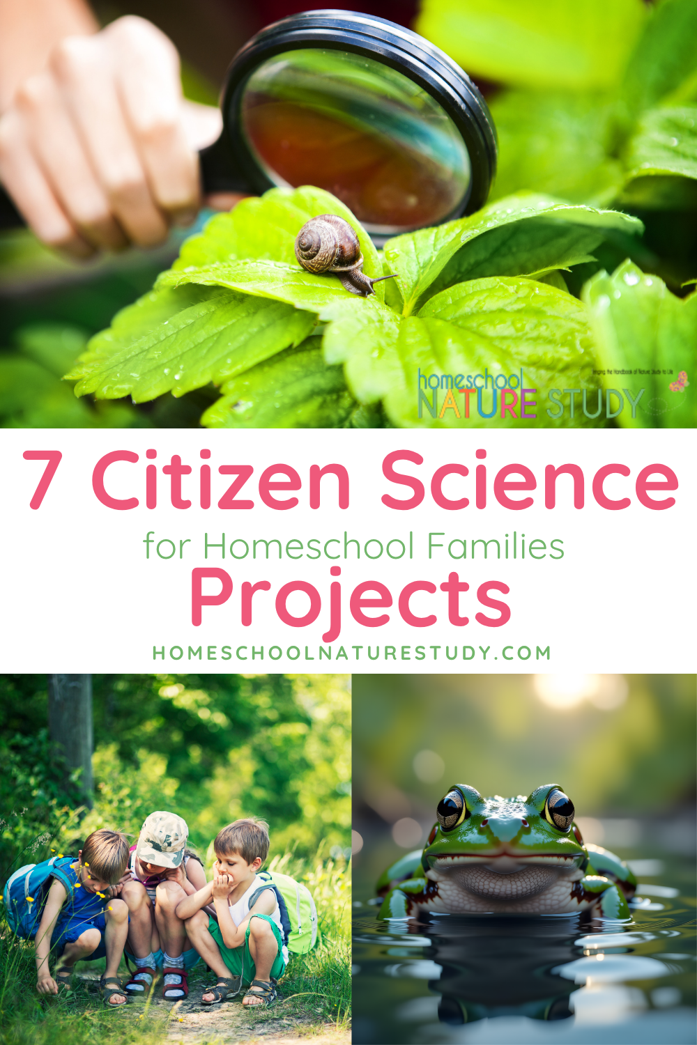 7 Citizen Science Projects for Homeschool Families - Homeschool Nature ...